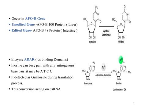 rna editing pptx programming languages computing