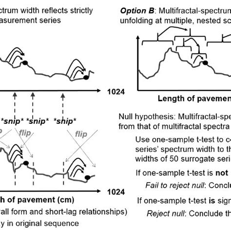 Schematic Of Comparison To Linear Surrogates Preserving A Series