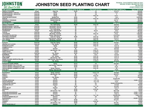 Seed Spacing Planting Chart Vector Illustration Of Proper Planting