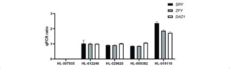 Quantitative Determination Of Y Chromosome Copy Number Download Scientific Diagram