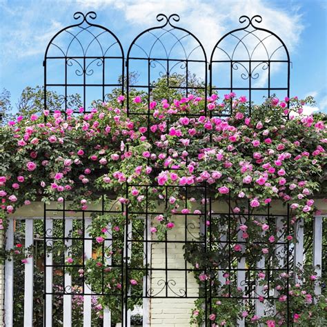 4 Pack Metal Garden Trellis 867 X 197 Rustproof Trellis For