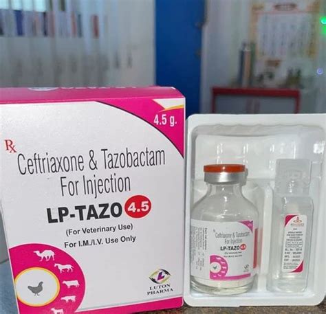 Veteniary Ciprofloxacin Injection Manufacture At ₹ 10 Piece