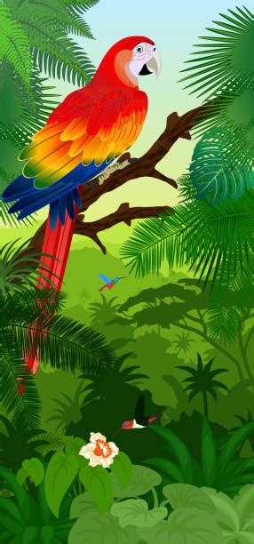 Pantanal Wetlands Illustrations Royalty Free Vector Graphics And Clip Art Istock