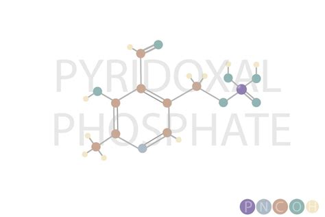 Pyridoxal Phosphate Molecular Skeletal Chemical Formula 43575286 Vector Art At Vecteezy