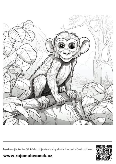 Omalovánky Opice Vytiskněte Si Zdarma A Vybarvujte