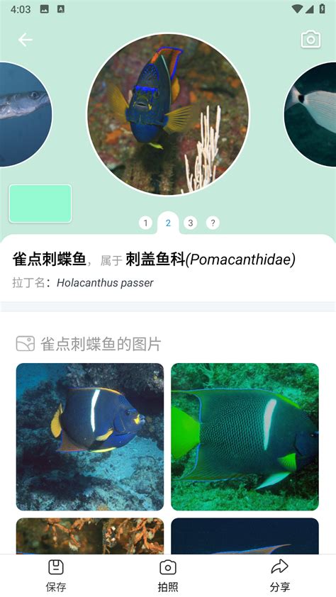 Picture Fish App V