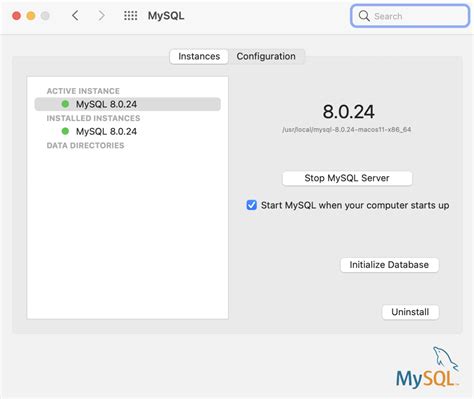 dbvisualizer security features for mysql a guide