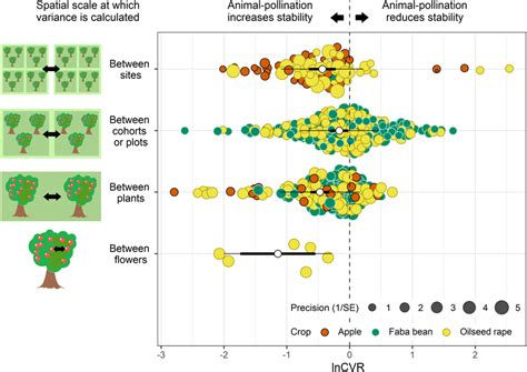 Effect Of Spatial Scale At Which Mean And Variance Have Been Calculated Download Scientific