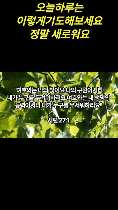 하루의 시작을 이렇게 기도했더니 정말 인생이 뒤집어졌어요 응답받아 │아침을 여는기도│간절한 기도│아침예배 새벽예배│하루를 시작하는기도│날마다 기막힌 새벽│ 하루 시작 기도