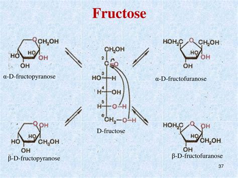 Ppt Insights Into Carbohydrates Classification Structure And