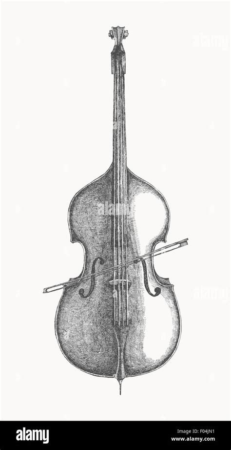 Upright Bass Drawing