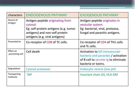 Exogenous Antigen Presentation And Processingpptx