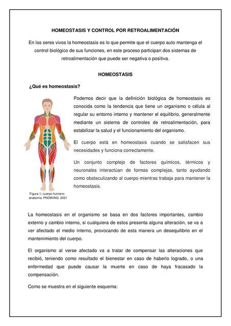 Homeostasis Y Control Por Retroalimentación Adriana Milena Udocz