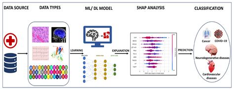 From Code To Cure The Impact Of Artificial Intelligence In Biomedical Applications