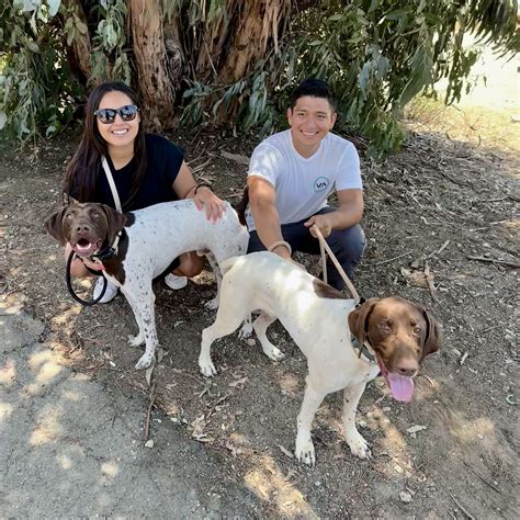 California Gsp Rescue Beaumont Ca