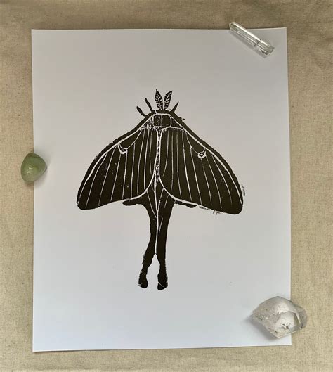 Luna Moth Print Etsy