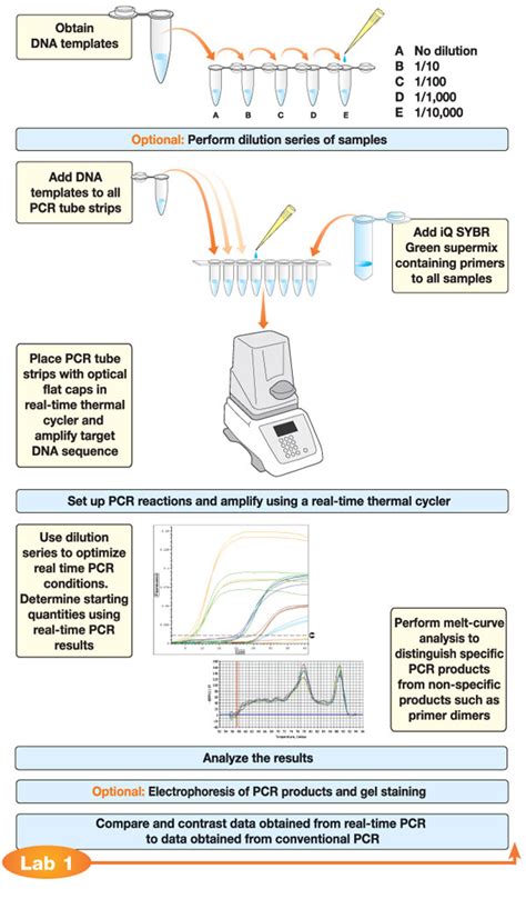 Real Time Pcr Spegel Med Belysning