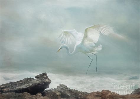 With Grace Photograph By Kelley Freel Ebner Fine Art America