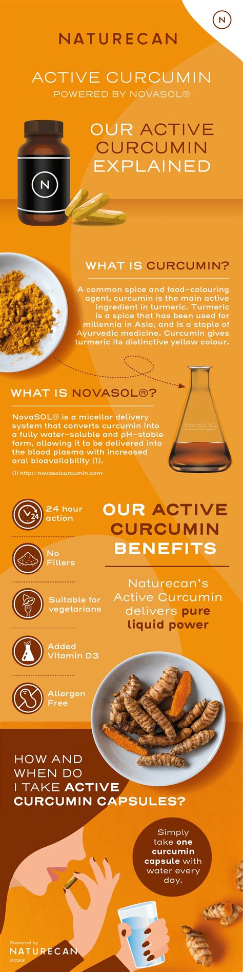 Active Curcumin Explained Naturecan Fitness Malaysia