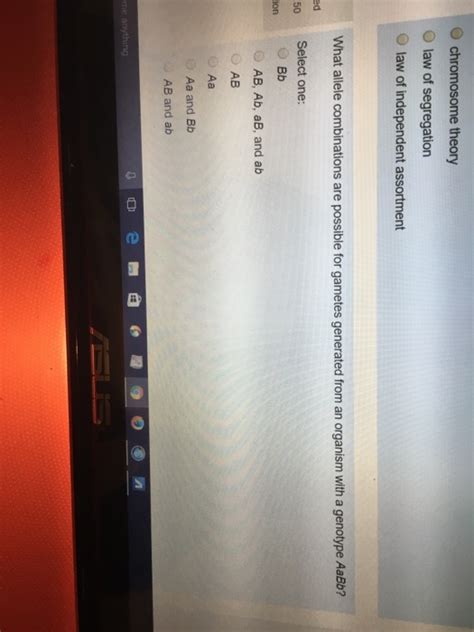 Solved What Allele Combinations Are Possible For Gametes