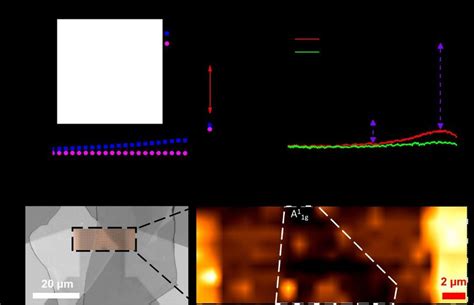 Self Driven Highly Responsive Pn Junction Inse Heterostructure Near Infrared Light Detector Arxiv