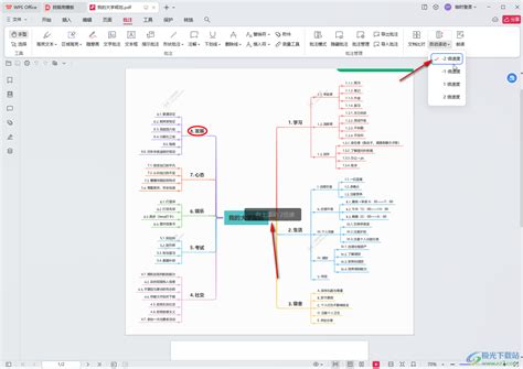 wps pdf如何设置文件自动翻滚页面 wps pdf电脑版设置自动滚动的方法教程 极光下载站