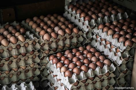 How Safe Are Our Chicken Eggs Klse Screener