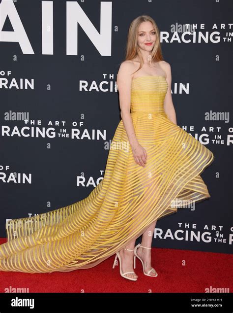 Amanda Seyfried At The Art Of Racing In The Rain World Premiere Held