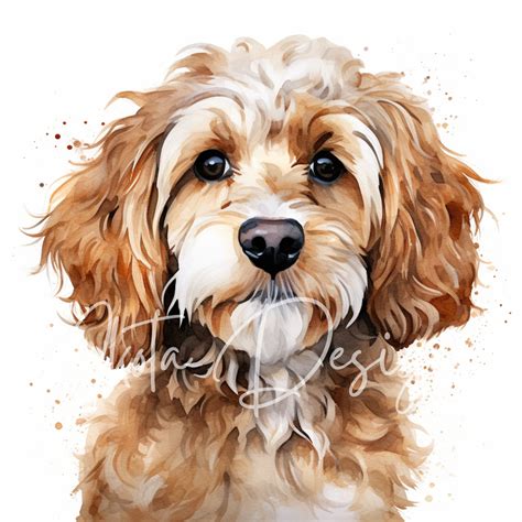 Cockapoo Clipart 40 High Quality S Digital Planner Junk