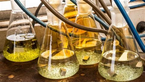 Intergranular Corrosion Testing Service At ₹ 2000sample In Coimbatore