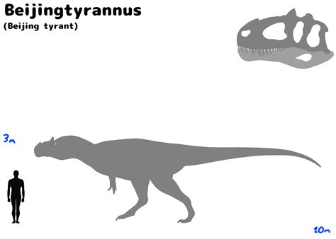 What Would You Classify This Mid Jurassic Therapod As Also How Much Do