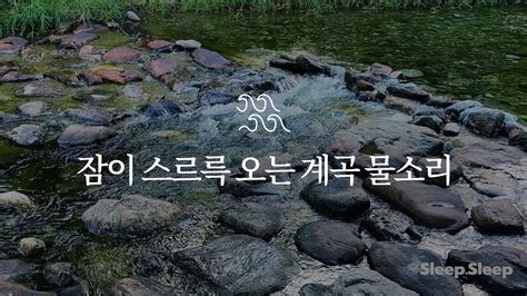 잠이 잘 오는 계곡 물소리 And 잔잔한 음악 Asmr Nature Sounds Youtube