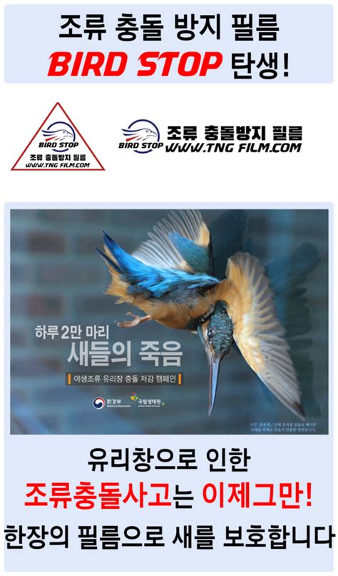 Home 탑그라스가드 단열필름 윈도우필름 제조 유통 도매