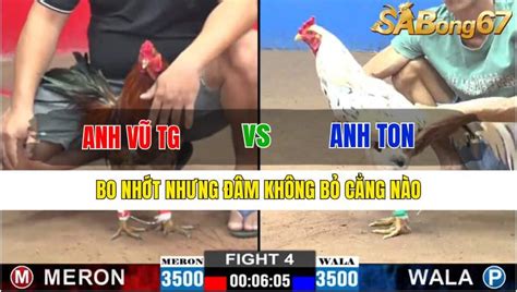 TrẬn 4 Cpc2 4122024 Bo Nhớt Nhưng Đâm Không Bỏ Cẳng Nào