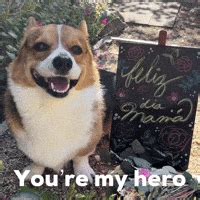 Youre My Hero S Find And Share On Giphy