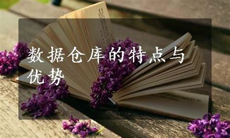 数据仓库的特点与优势导文 数据仓库的特点与优势导文