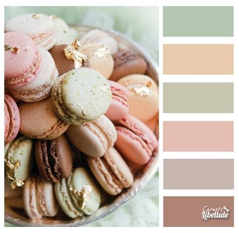 Assiette De Macarons Color Textures Colour Pallete Color Palette
