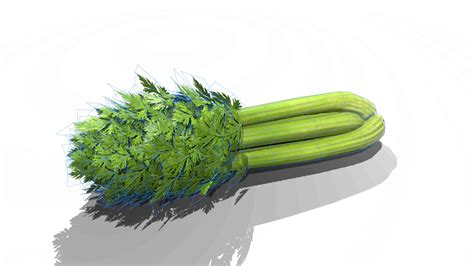 Celery 3d Model Turbosquid 2052262