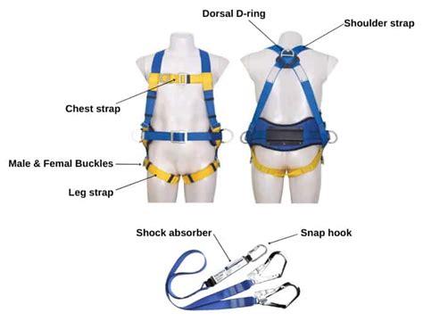 How Do Safety Harnesses Work A Detailed Explanation