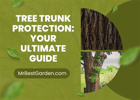 Your Go To Site For Expert Gardening Product Reviews