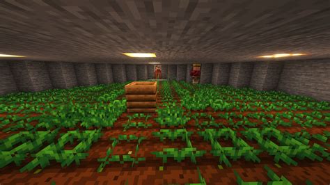 Visual Glitch Java Edition Support Support Minecraft Forum Minecraft Forum