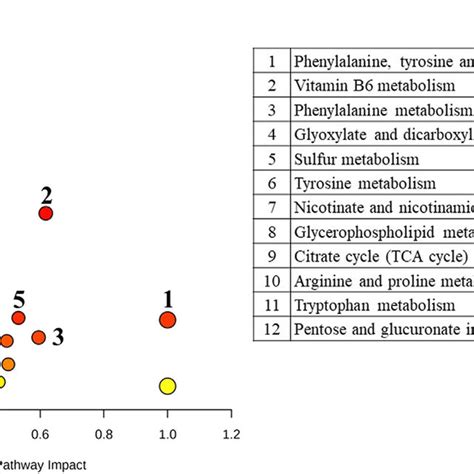 Overview Of Metabolic Pathway Analysis Relating To Stress Responses