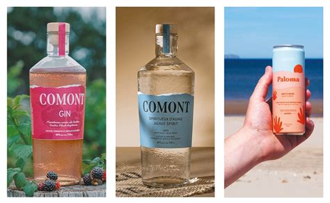 Comont Lesprit Des Lieux