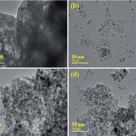 A Synthesis Of Cellulose Nanocrystals B Schematic Diagram Of Download Scientific Diagram