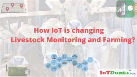 livestock monitoring using iot and its benefits iotdunia