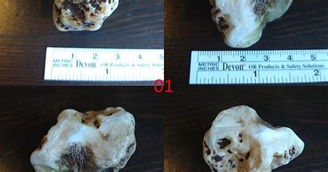 Need Identification Album On Imgur