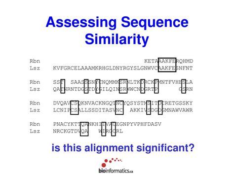 Ppt Sequencing Sequence Alignment And Software Powerpoint Presentation