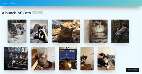 Cats With React Codesandbox