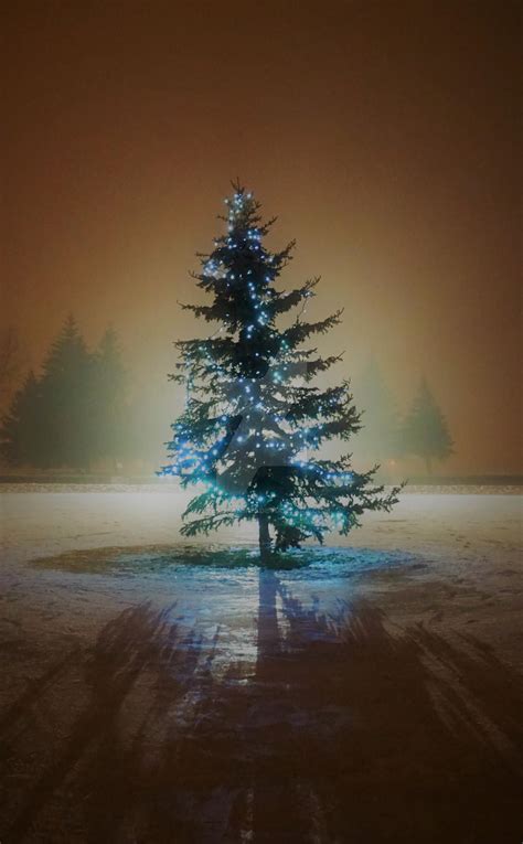Halo Tree By Eyesofaniris On Deviantart