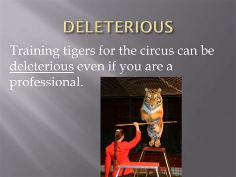 Ppt Vocabulary Sentence Examples Powerpoint Presentation Free